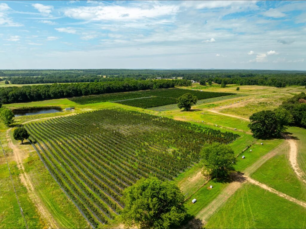 Buying Land in Arkansas: A Comprehensive Guide