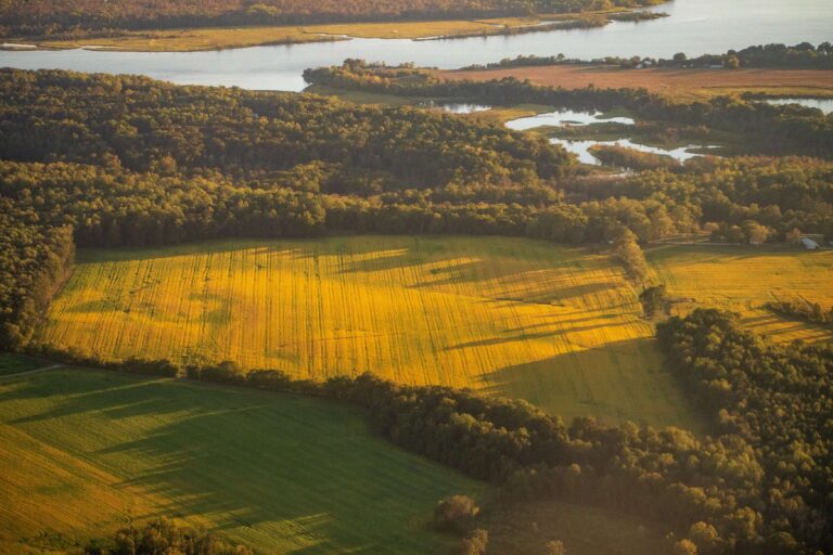 How Much Is an Acre of Land Worth in Virginia? - Mossy Oak Properties