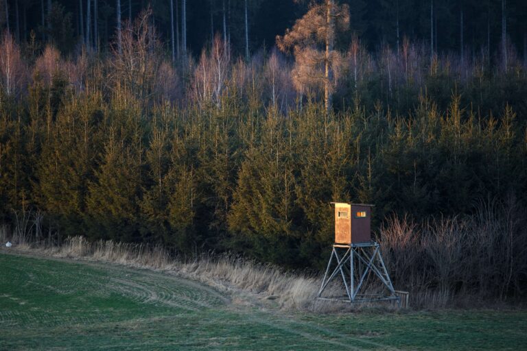 How Hunting Land Leases Work: Types, Pricing & Agreements